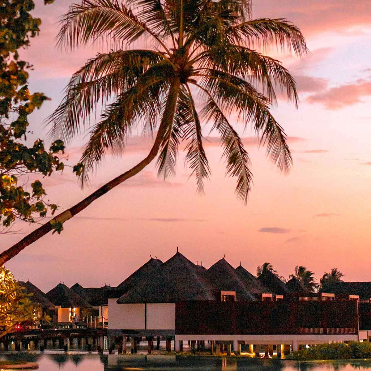 Best Holiday Routes for Your Perfect Honeymoon – Green Petition